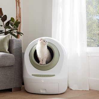 Looking For An Alternative To The Litter-Robot? Here’s What You Should Know