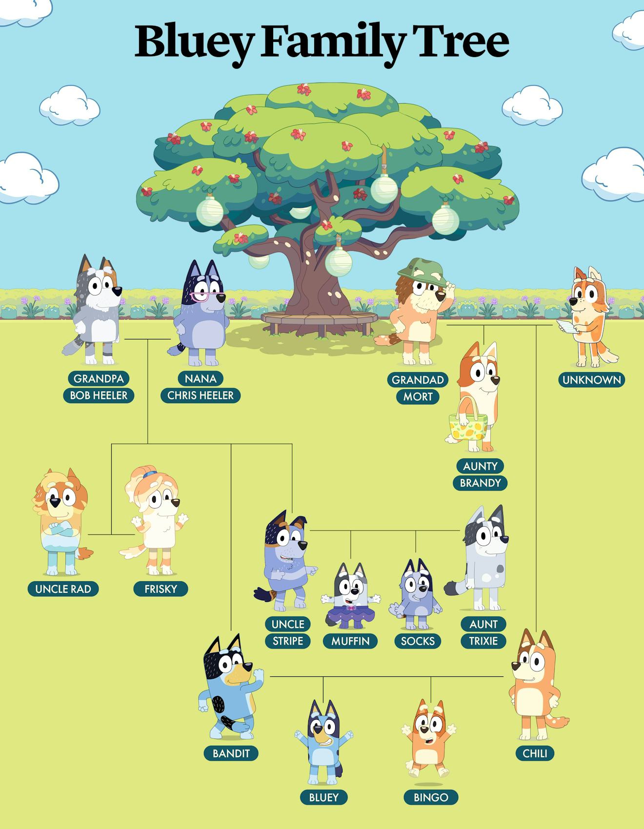 'Bluey' Family Tree: How Bingo, Bandit, Chilli, & More Characters Are ...