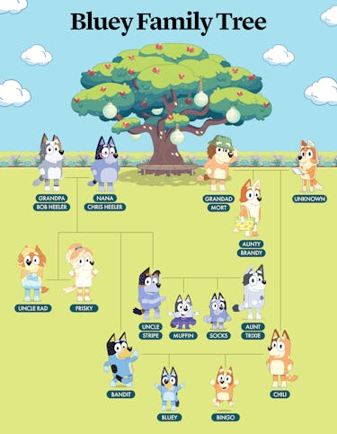 'Bluey' Family Tree: How Bingo, Bandit, Chilli, & More Characters Are ...