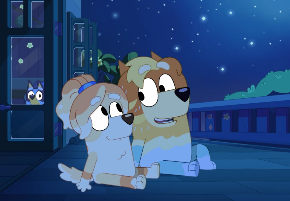 'Bluey' Family Tree: How Bingo, Bandit, Chilli, & More Characters Are ...