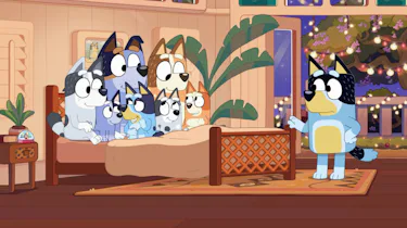 'Bluey' Family Tree: How Bingo, Bandit, Chilli, & More Characters Are ...