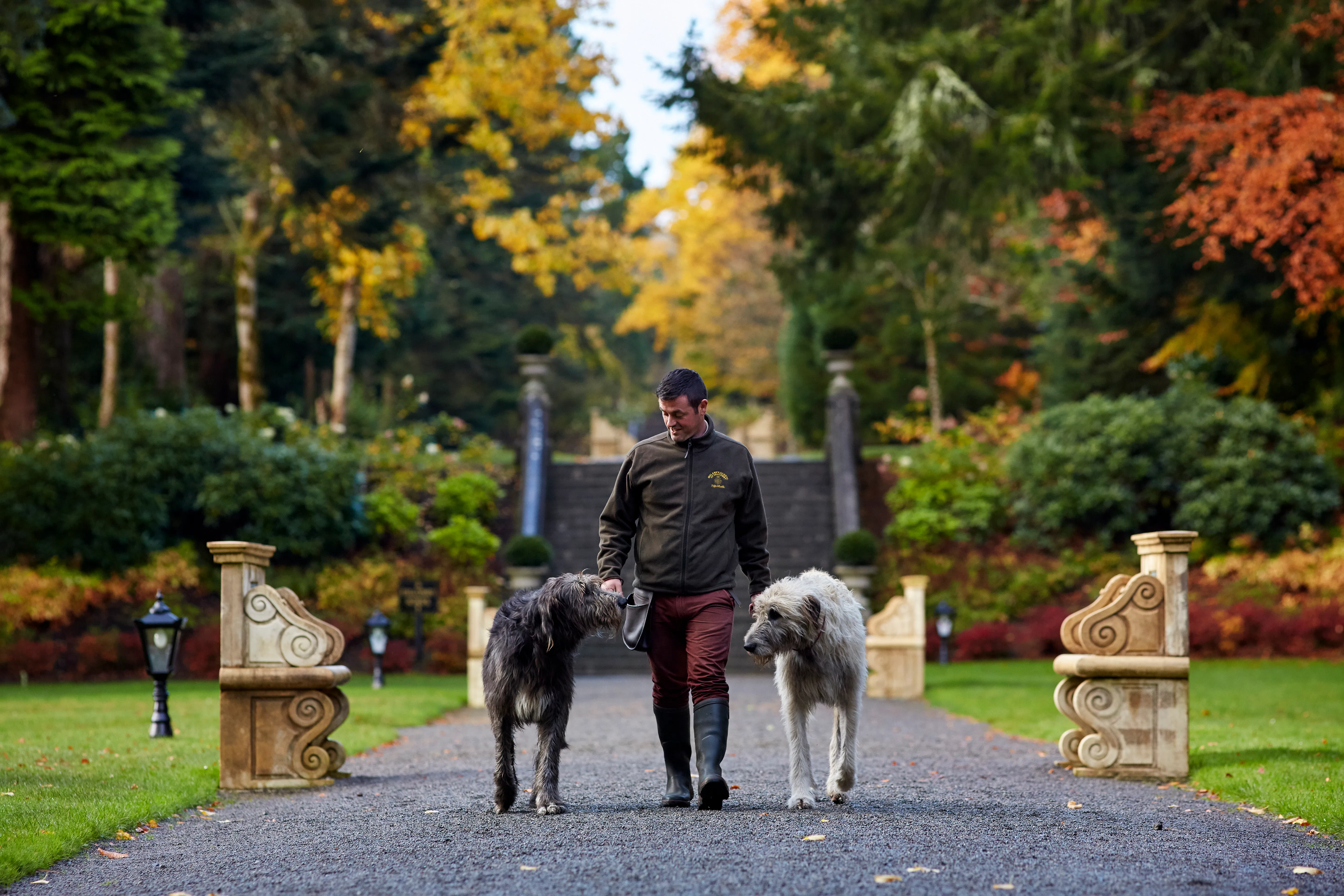 Ireland's Ashford Castle Will Help You Live Out Your Royal Fantasies
