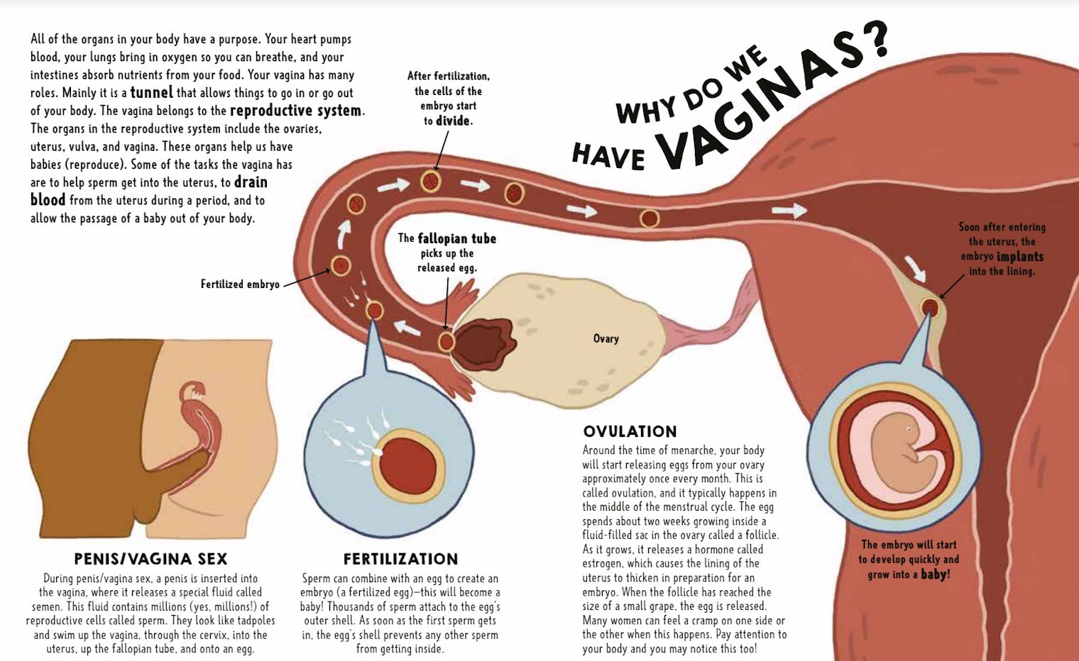 Dr Allison Rodgers We Need To Talk About Vaginas Book Is An
