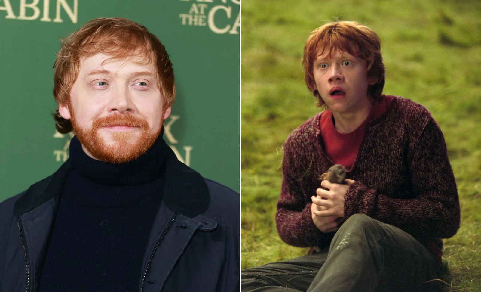 Rupert Grint's Quotes About A 'Harry Potter' TV Show Suggest A New Cast