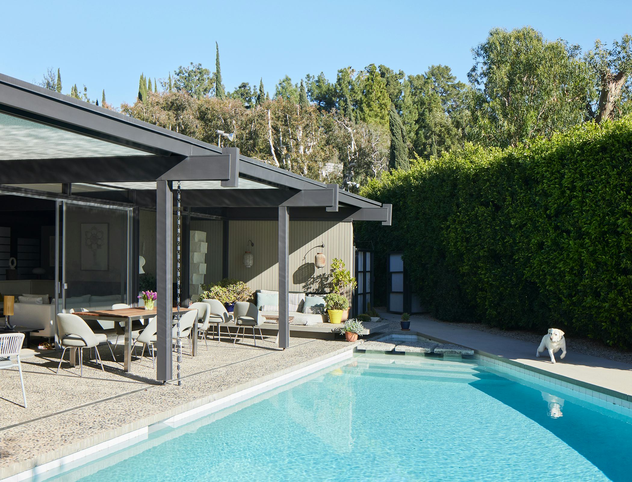 Ann Philbin on Renovating the Hammer Museum and Her Midcentury Home