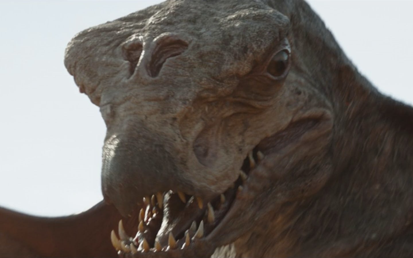 Shriek-Hawk? 'The Mandalorian' Just Introduced a Terrifying Creature ...