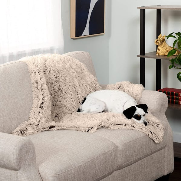 The 6 Best Blankets For Dogs That Shed