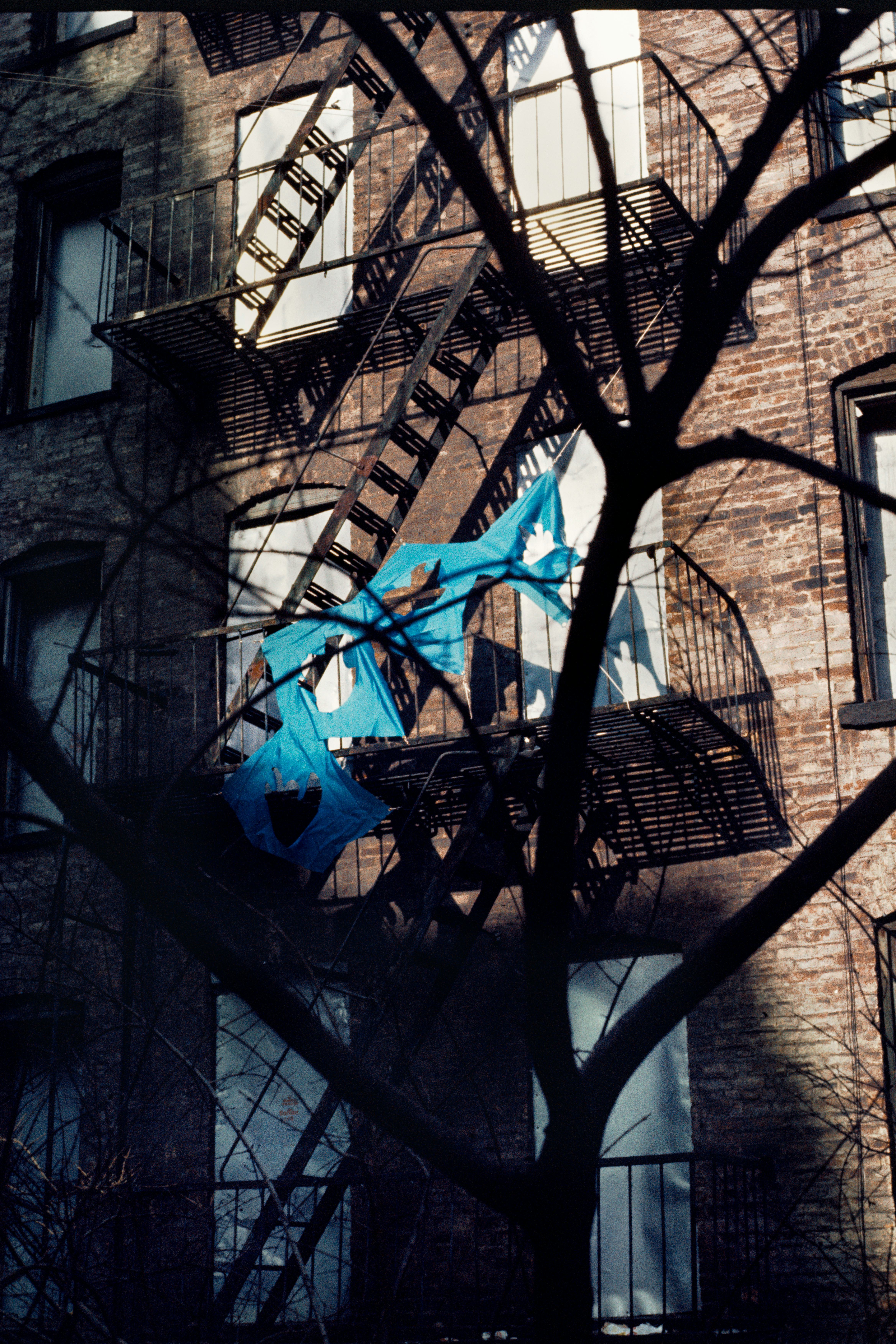 Artist Senga Nengudi on Her 2023 Nasher Prize and NYC Solo Shows