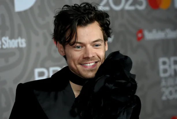 Harry Styles Gives One Direction Reunion Update With James Corden