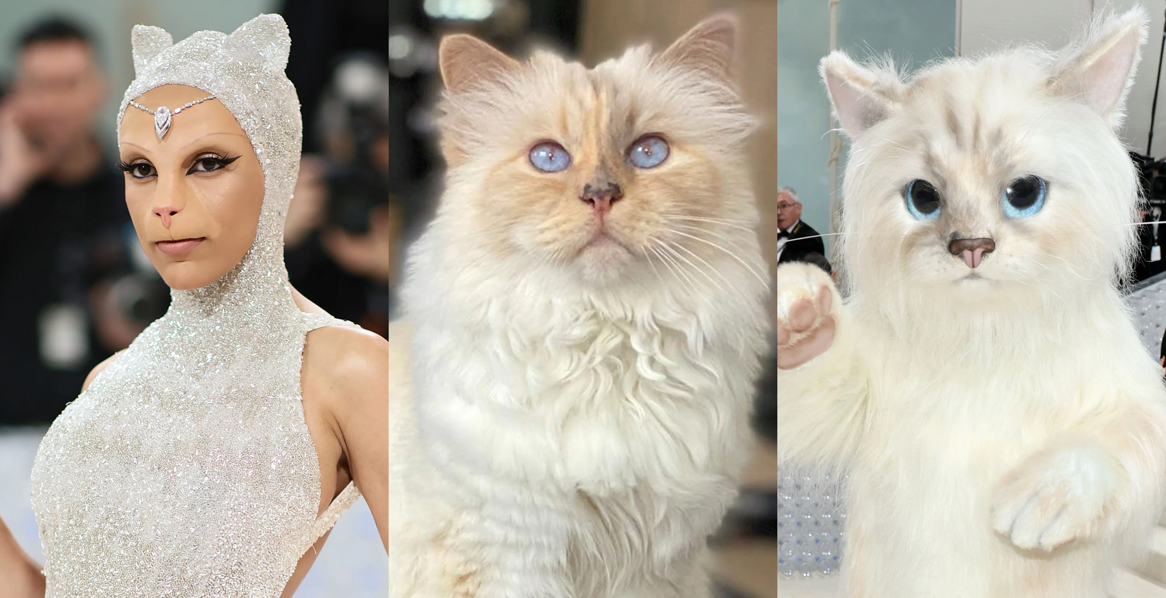 Choupette Lagerfeld Breaks Her Silence on Doja Cat and Jared Leto’s Met ...