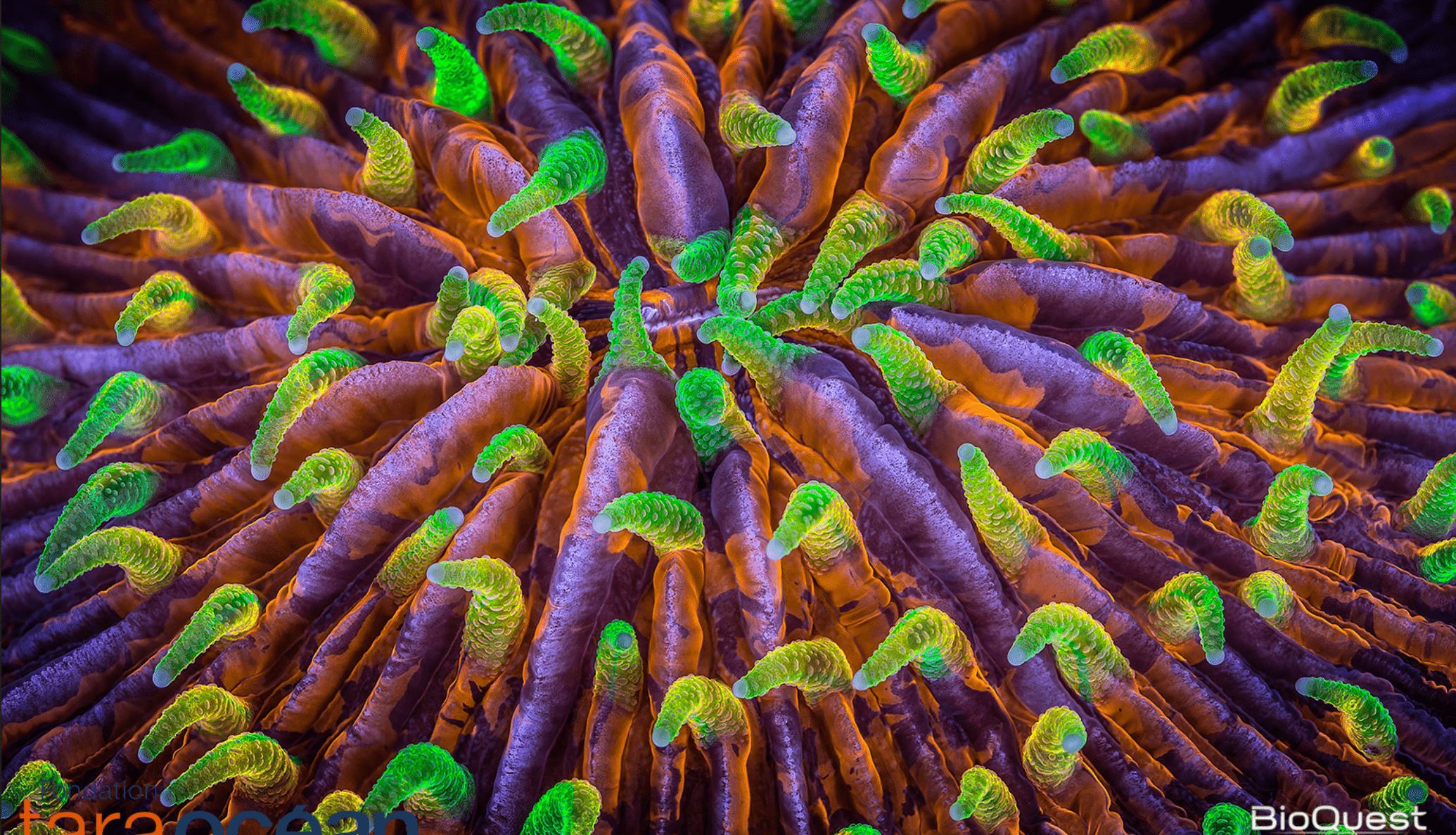 "Unprecedented" Science Expedition Unlocks New Genetic Clues To Help ...