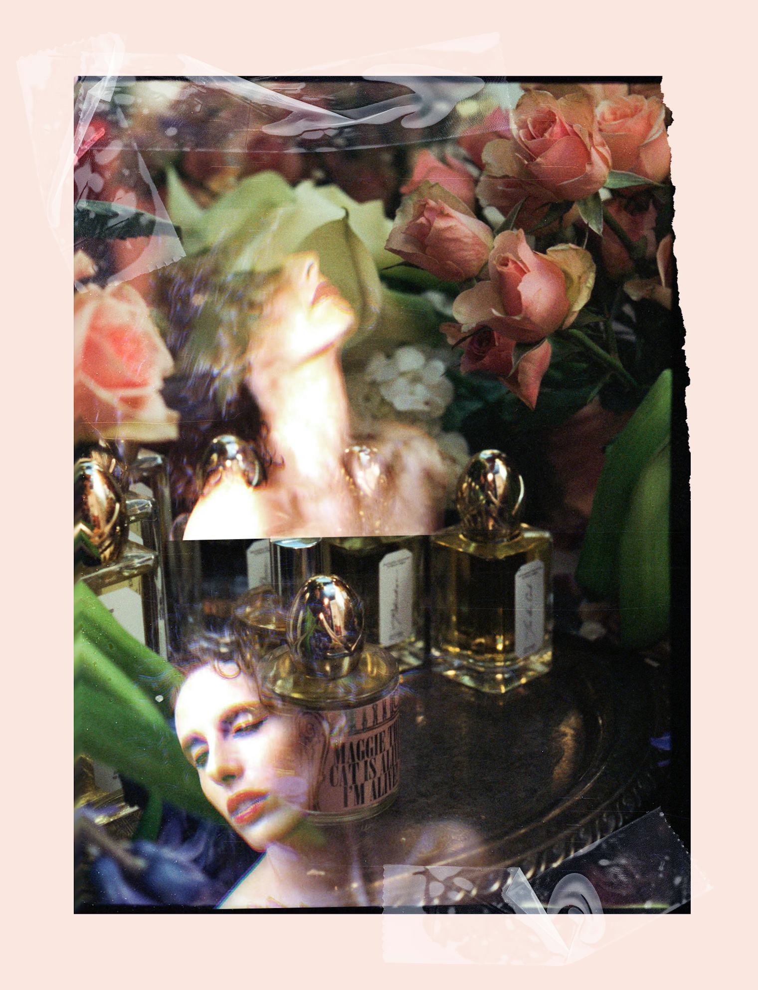 Marissa Zappas The Perfumer For A More Beautiful World