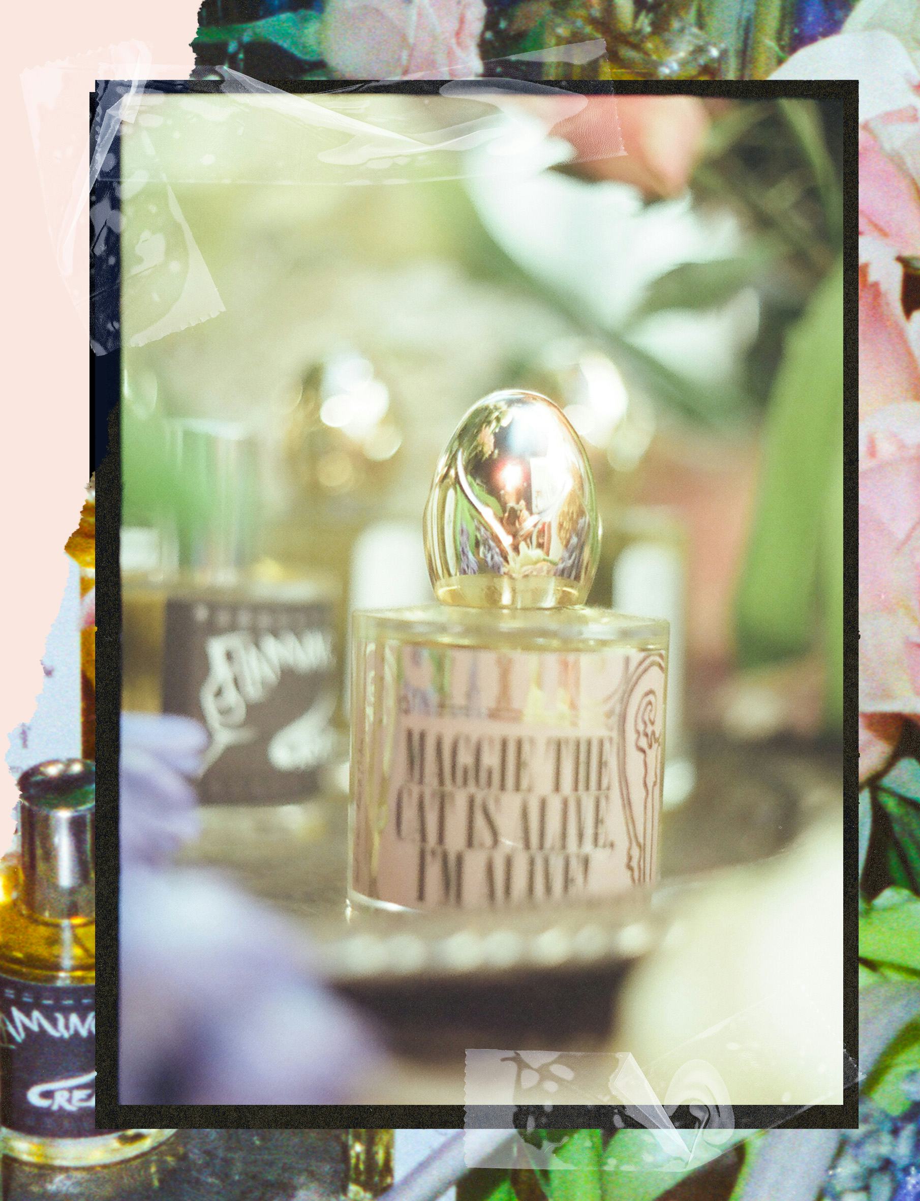 Marissa Zappas, The Perfumer For A More Beautiful World