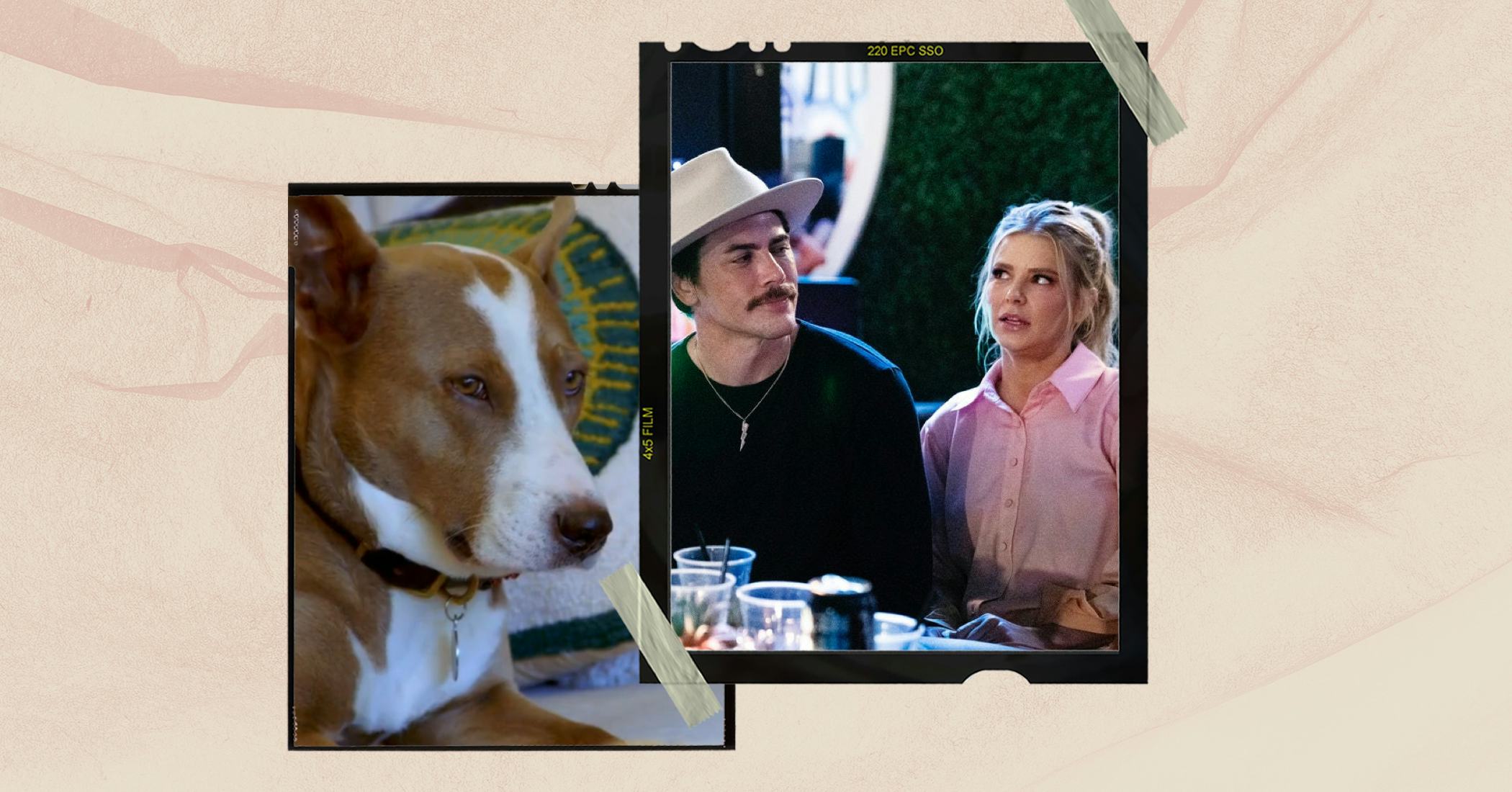 'Vanderpump Rules' Fans Think Ariana Madix's Dog Predicted Scandoval