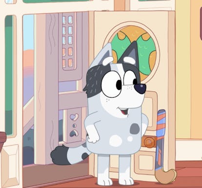 'Bluey' Characters: Everything You Need To Know About The Voice Cast