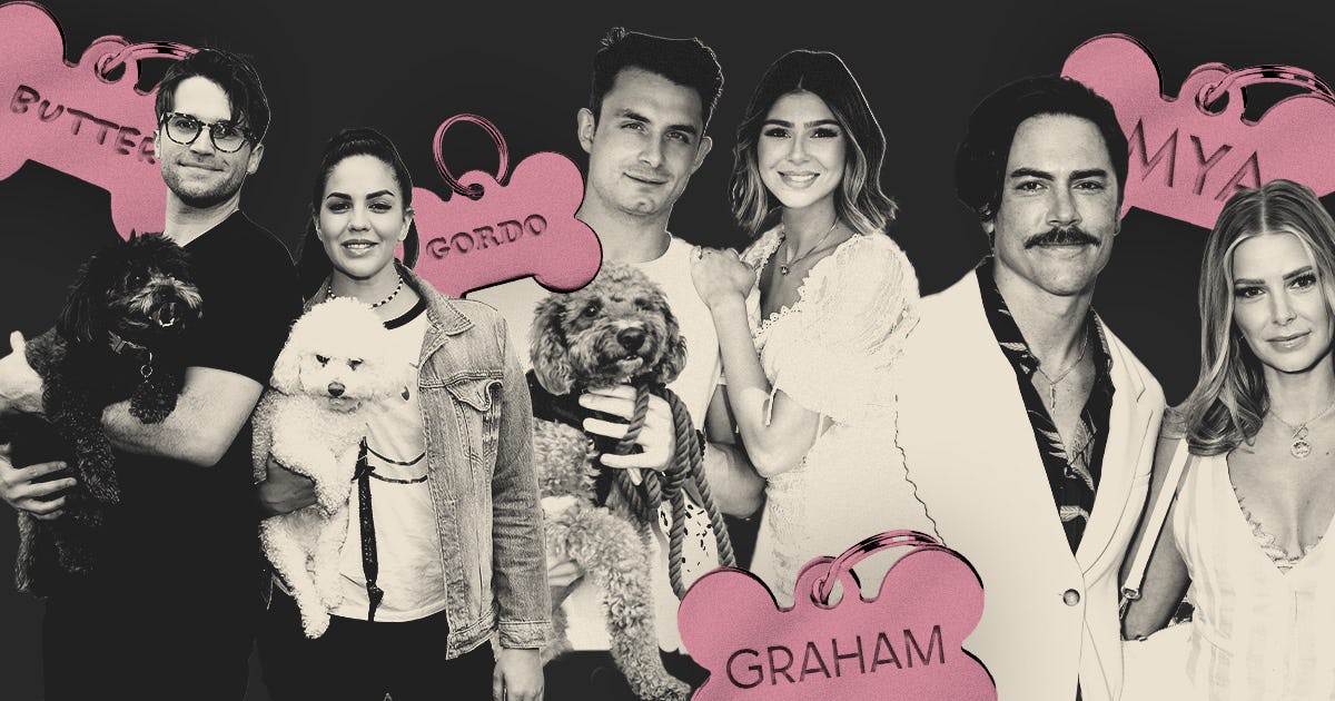 'Vanderpump Rules' Dog Drama Explained