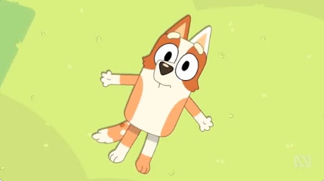 'Bluey' Characters: Everything You Need To Know About The Voice Cast