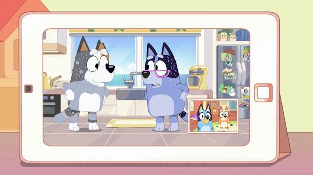 'Bluey' Characters: Everything You Need To Know About The Voice Cast