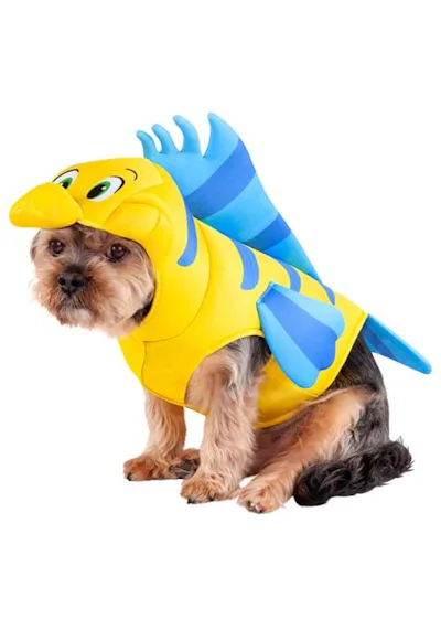 Meet The Most Popular Halloween Costume Ideas For 2023