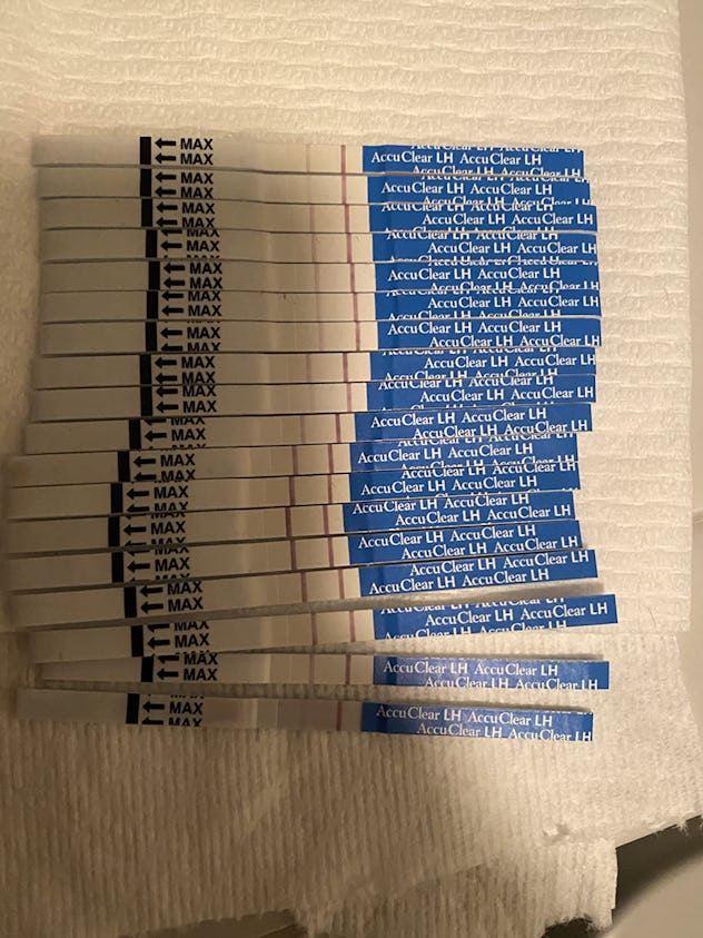 26 Ovulation Test Photos To Help You Read Your Own Results