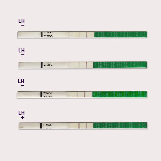 26 Ovulation Test Photos To Help You Read Your Own Results
