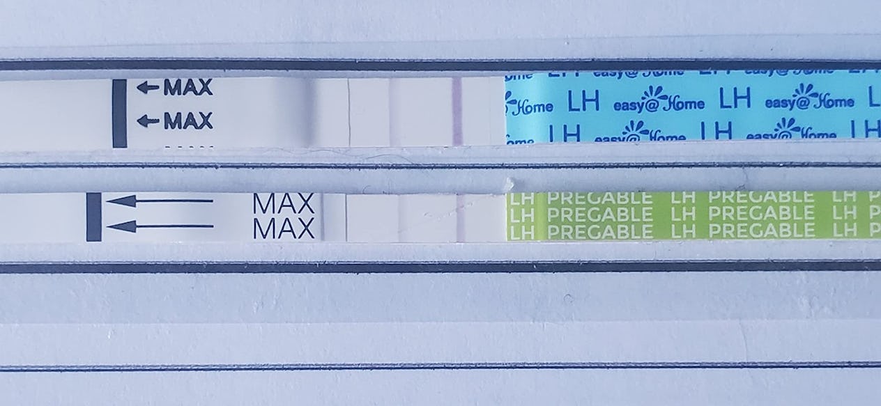 26 Ovulation Test Photos To Help You Read Your Own Results