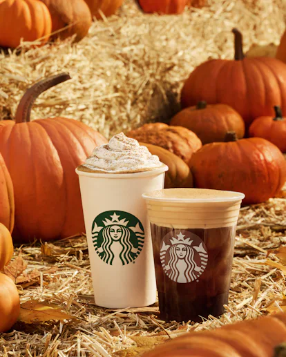 Starbucks 2023 Fall Menu: PSL, Pumpkin Cream Cold Brew, & More