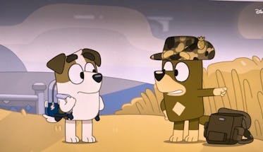 Do Dogs Love 'Bluey'? Fans Have A Theory About The Colors