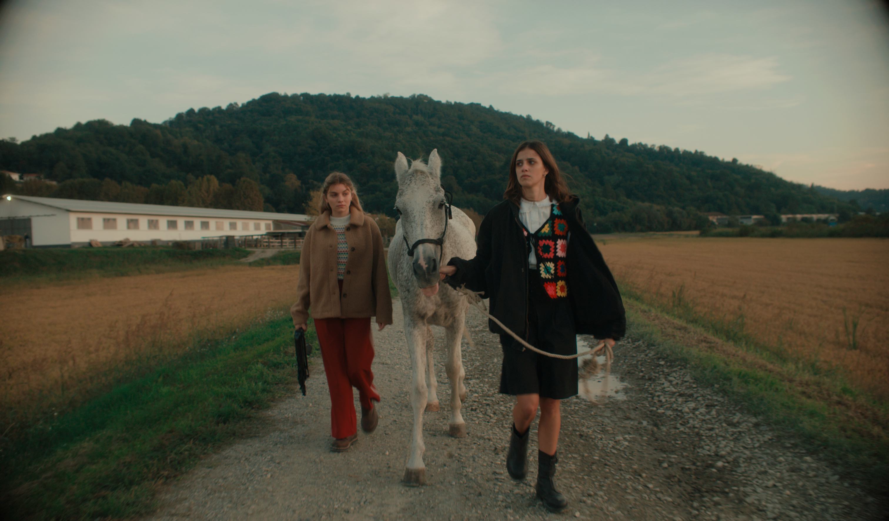 'Amanda' Is a Surreal, Charming Portrait of Loneliness