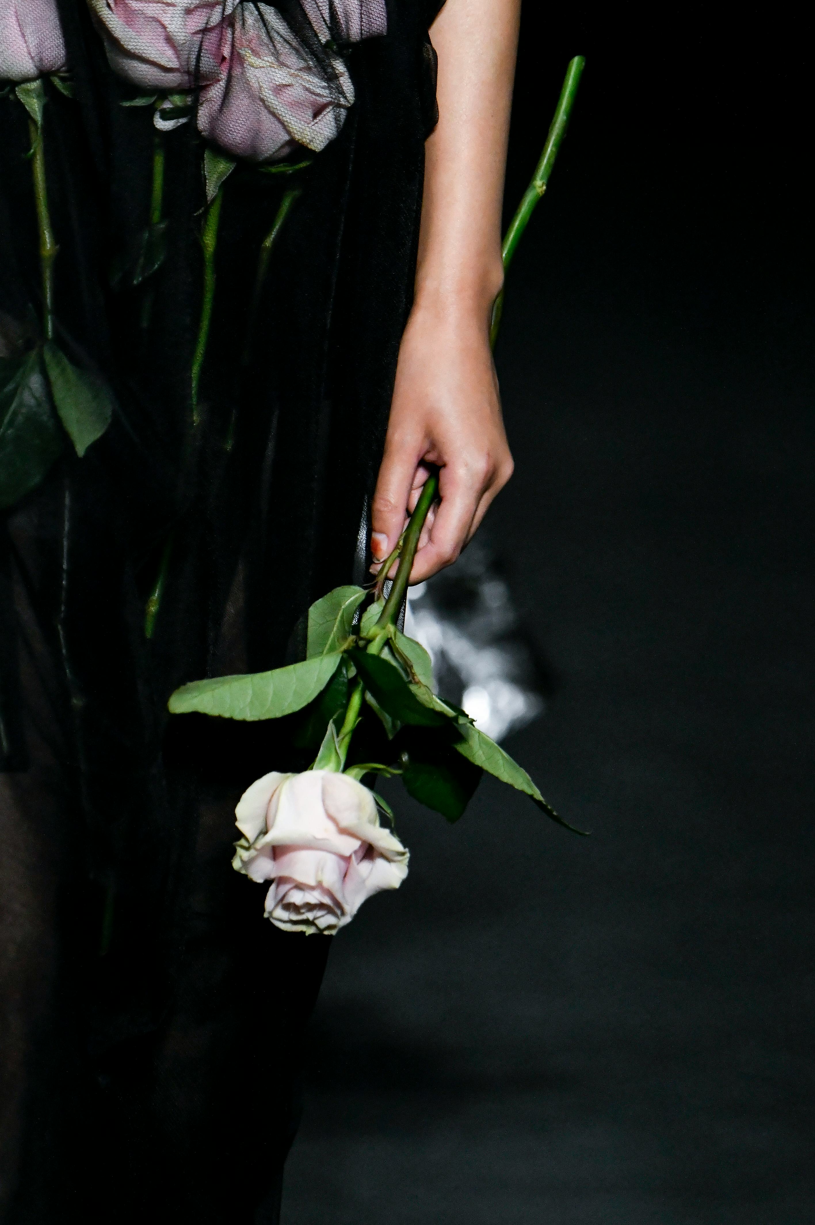 Roses—Thorns and All—Are a Spring 2024 Trend at Fashion Week
