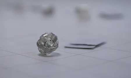 In Botswana, I Went On Safari & Took A Diamond Tour