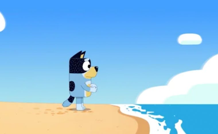 Is Bandit Upset In 'Stickbird'? 'Bluey' Fans Have Questions