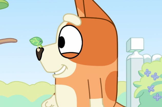 13 'Bluey' Episodes About Bingo, Bluey's Little Sister