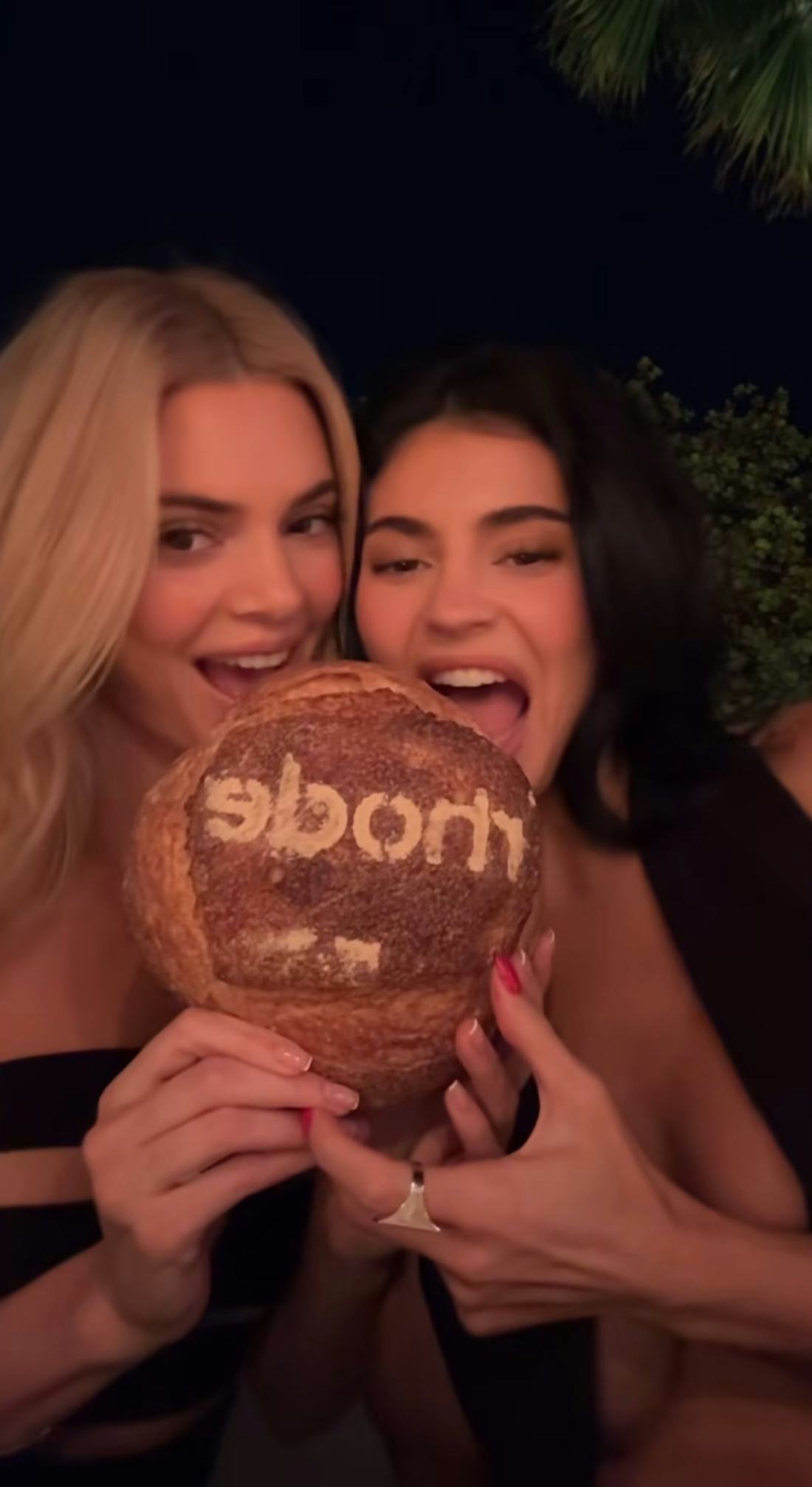 Kendall & Kyle Jenner Wore Matching Cleavage-Baring Outfits