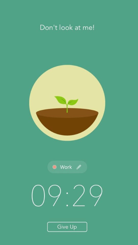 The Forest App Will Help You Stay Off Your Phone