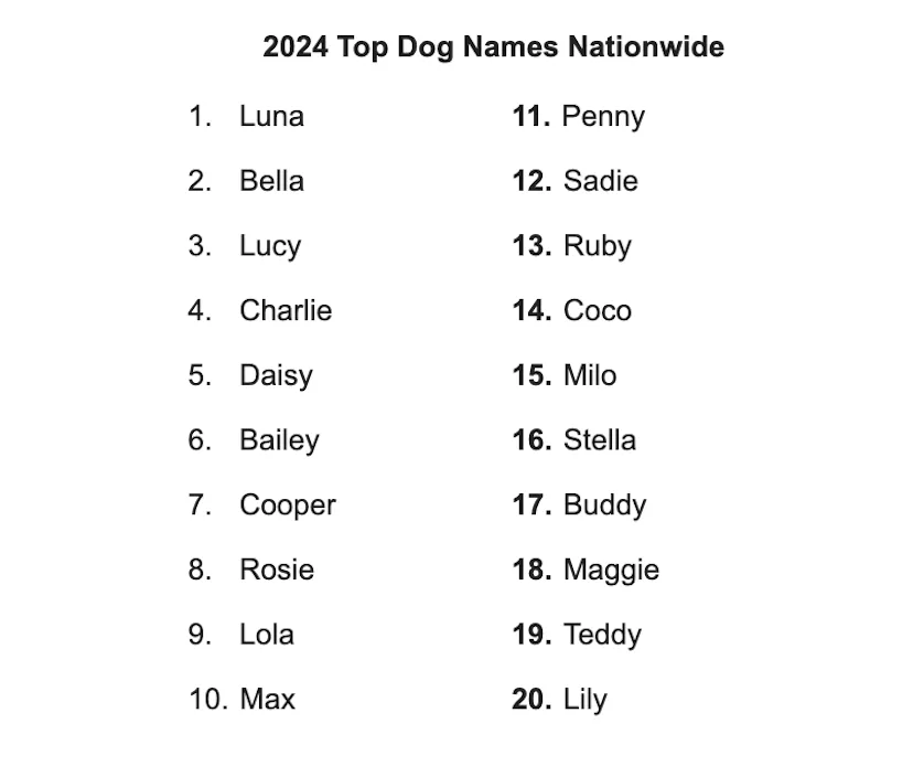 Is Your Kid s Name Also A Popular Name For Pets is-your-kid-s-name-also-a-popular-name-for-pets