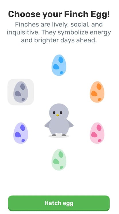 Finch App Review: Price, Features, Ratings, & More