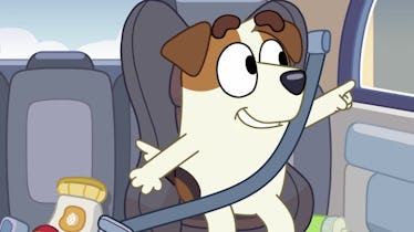 Bluey's Friends: Their Names, Breed, & Personalities Explained