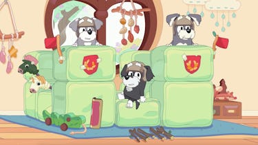 Bluey's Friends: Their Names, Breed, & Personalities Explained