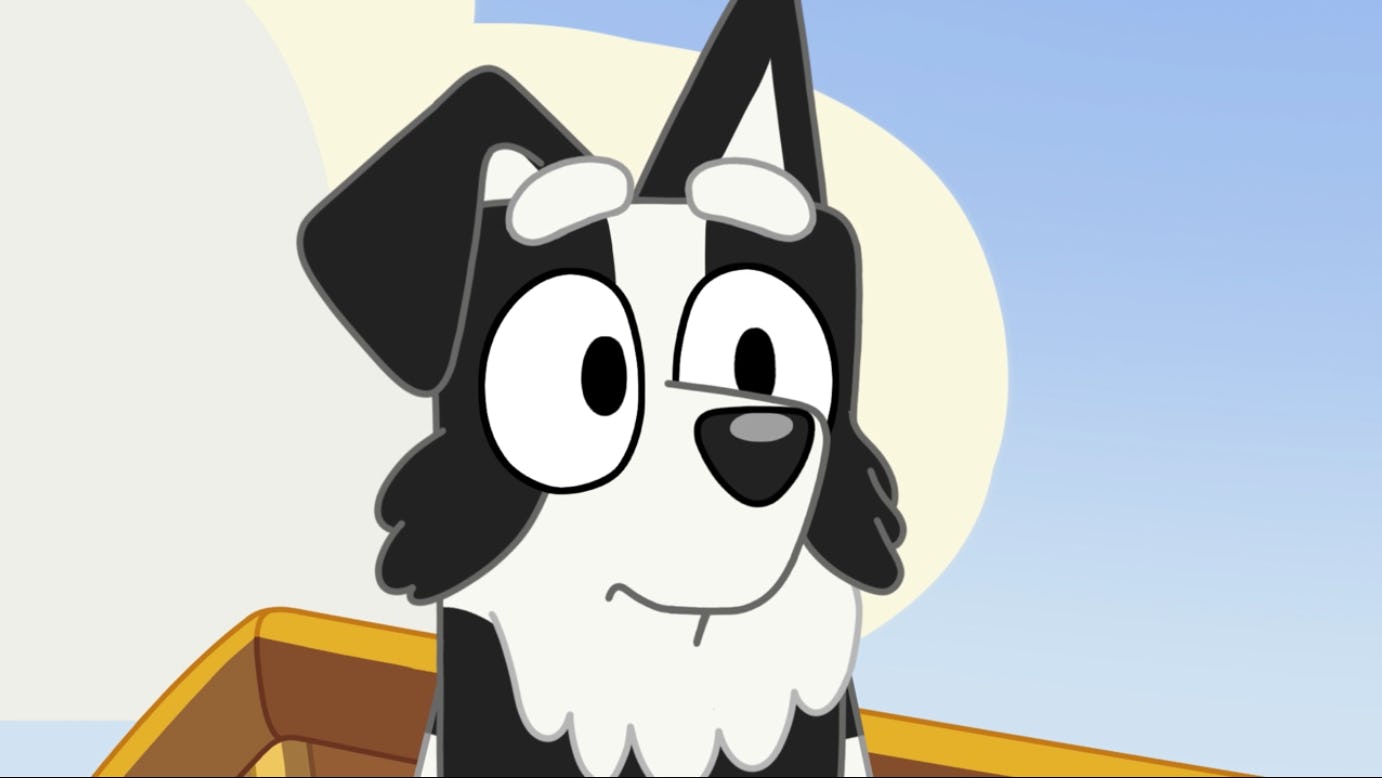 Bluey's Friends: Their Names, Breed, & Personalities Explained