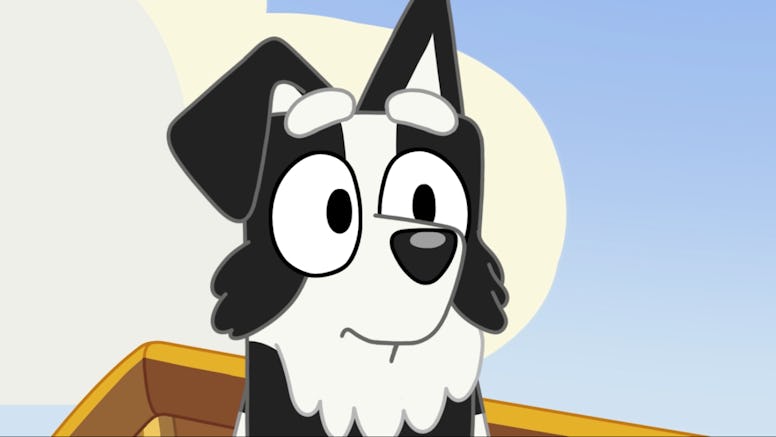 Bluey's Friends: Their Names, Breed, & Personalities Explained