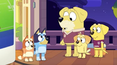 Bluey's Friends: Their Names, Breed, & Personalities Explained
