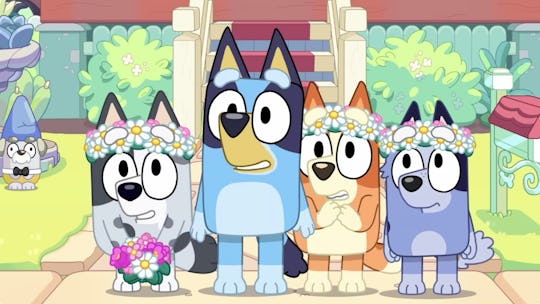 New Super-Sized 'Bluey' Episode "The Sign" Gets First Trailer