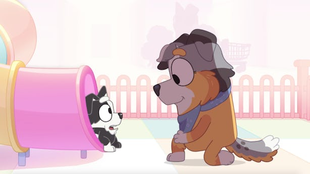 'Bluey' Episode "Space" Explained