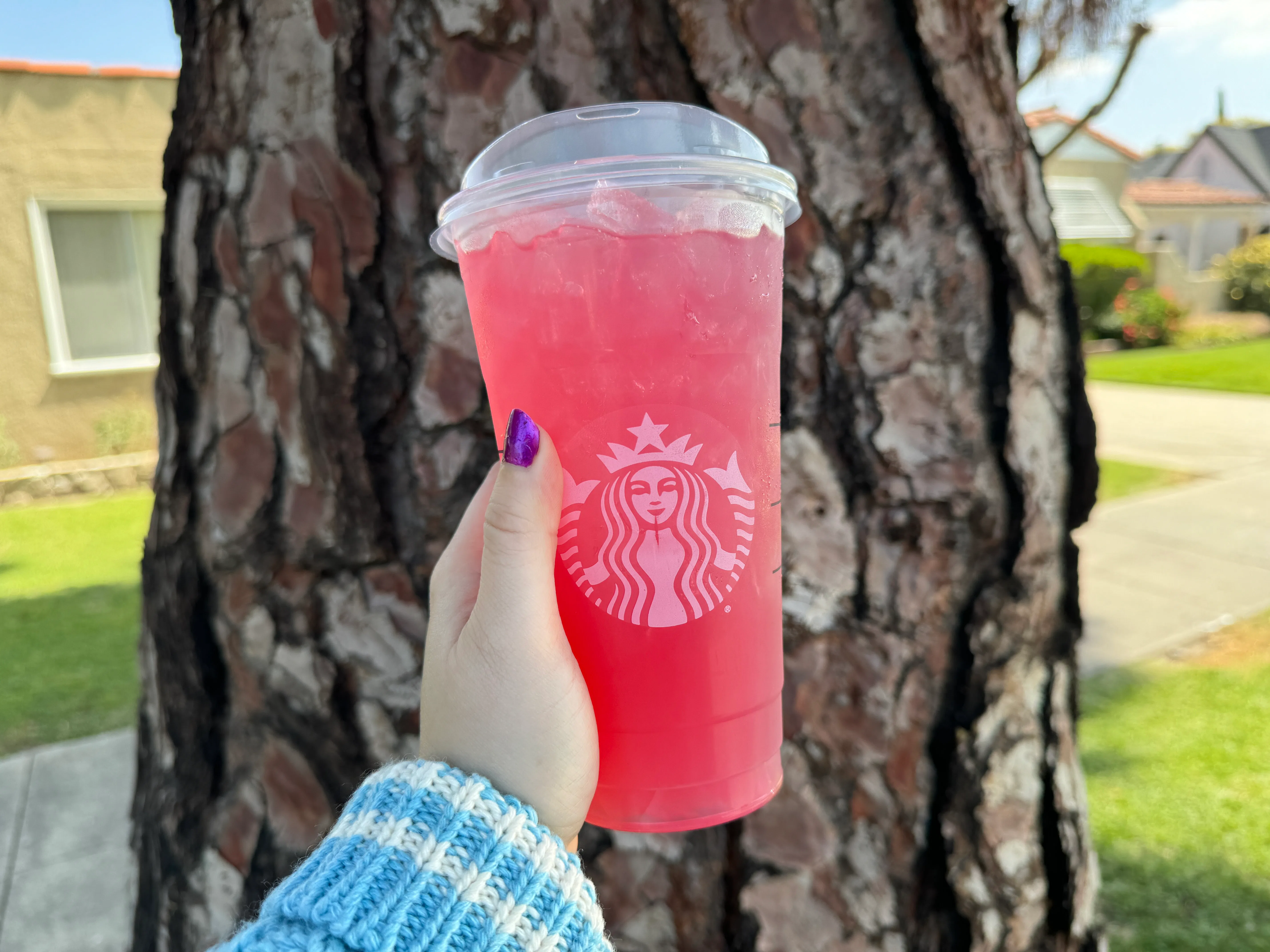 Starbucks' Lavender Lemonade Vs. The Secret Menu Sip: A Comparison