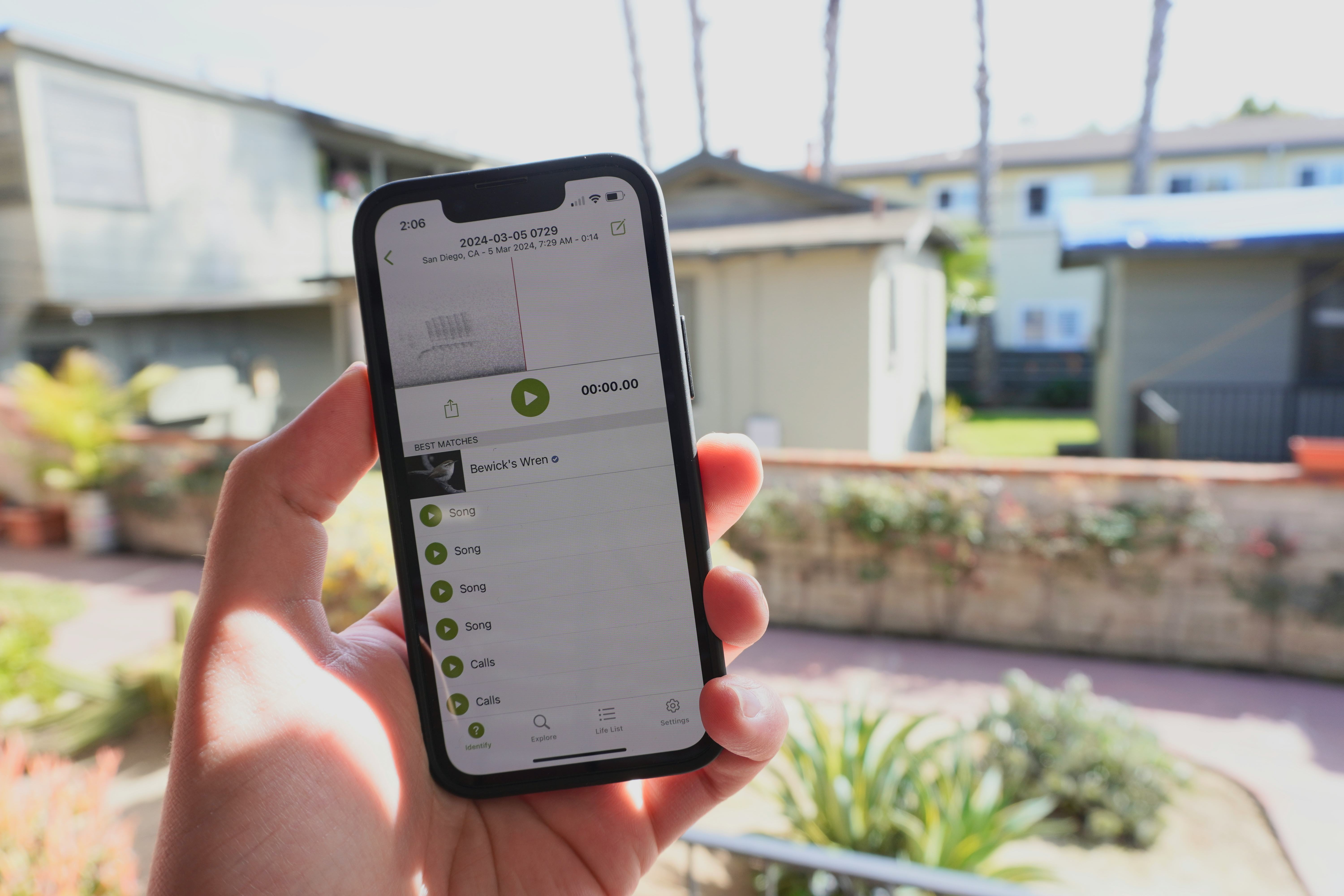 I Can't Stop Using Cornell's Free AI-Powered Merlin Bird ID App