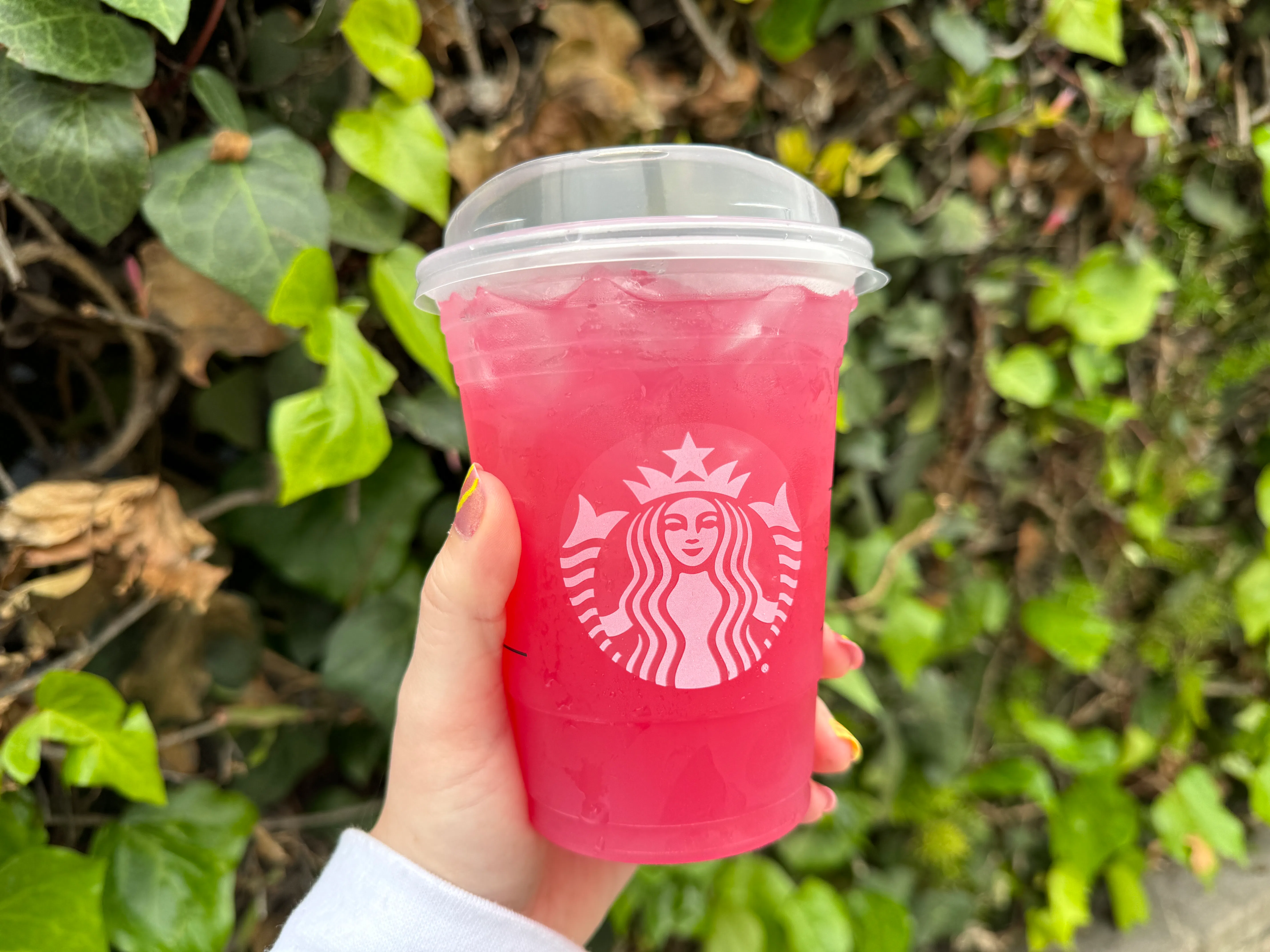Starbucks' Lavender Lemonade Vs. The Secret Menu Sip: A Comparison