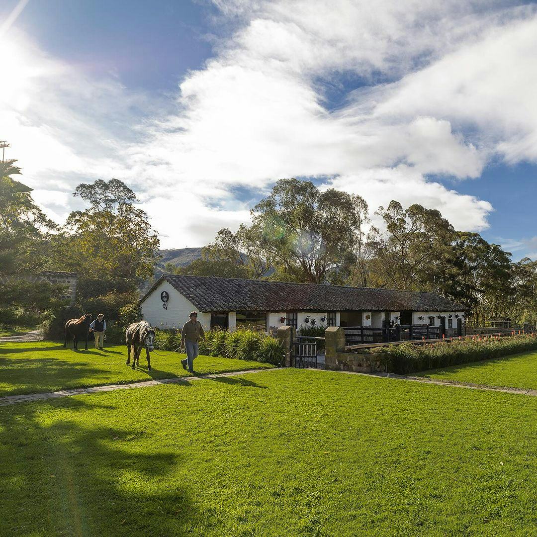 Luxury Farms Are The Hottest Summer Travel Craze Of 2024