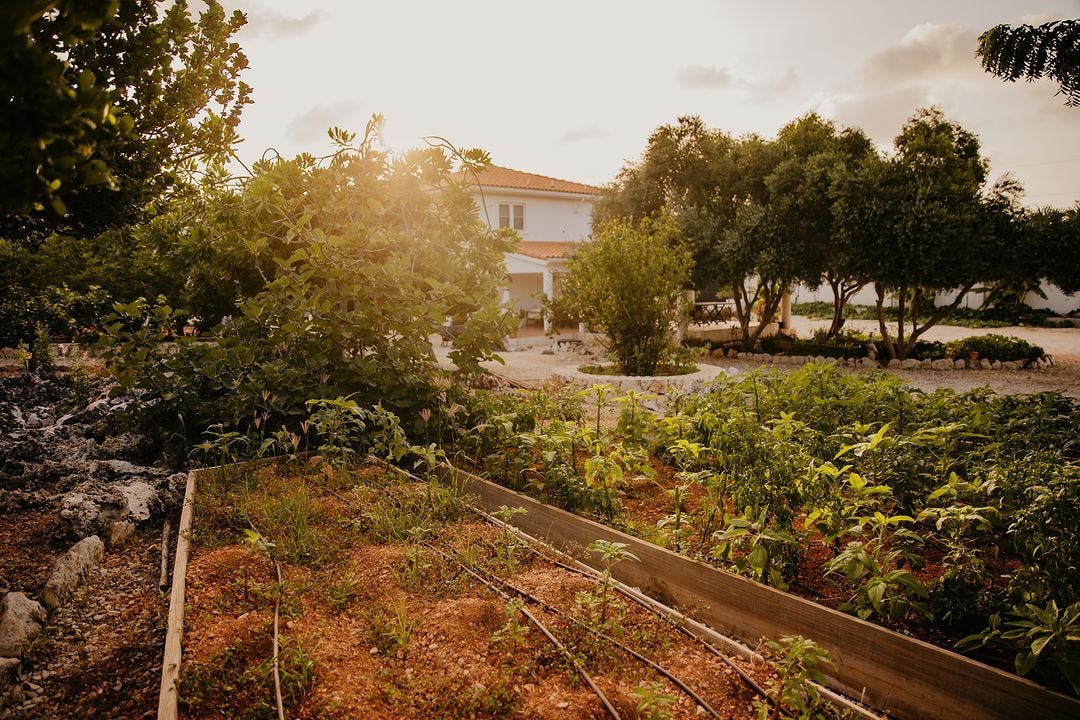 Luxury Farms Are The Hottest Summer Travel Craze Of 2024