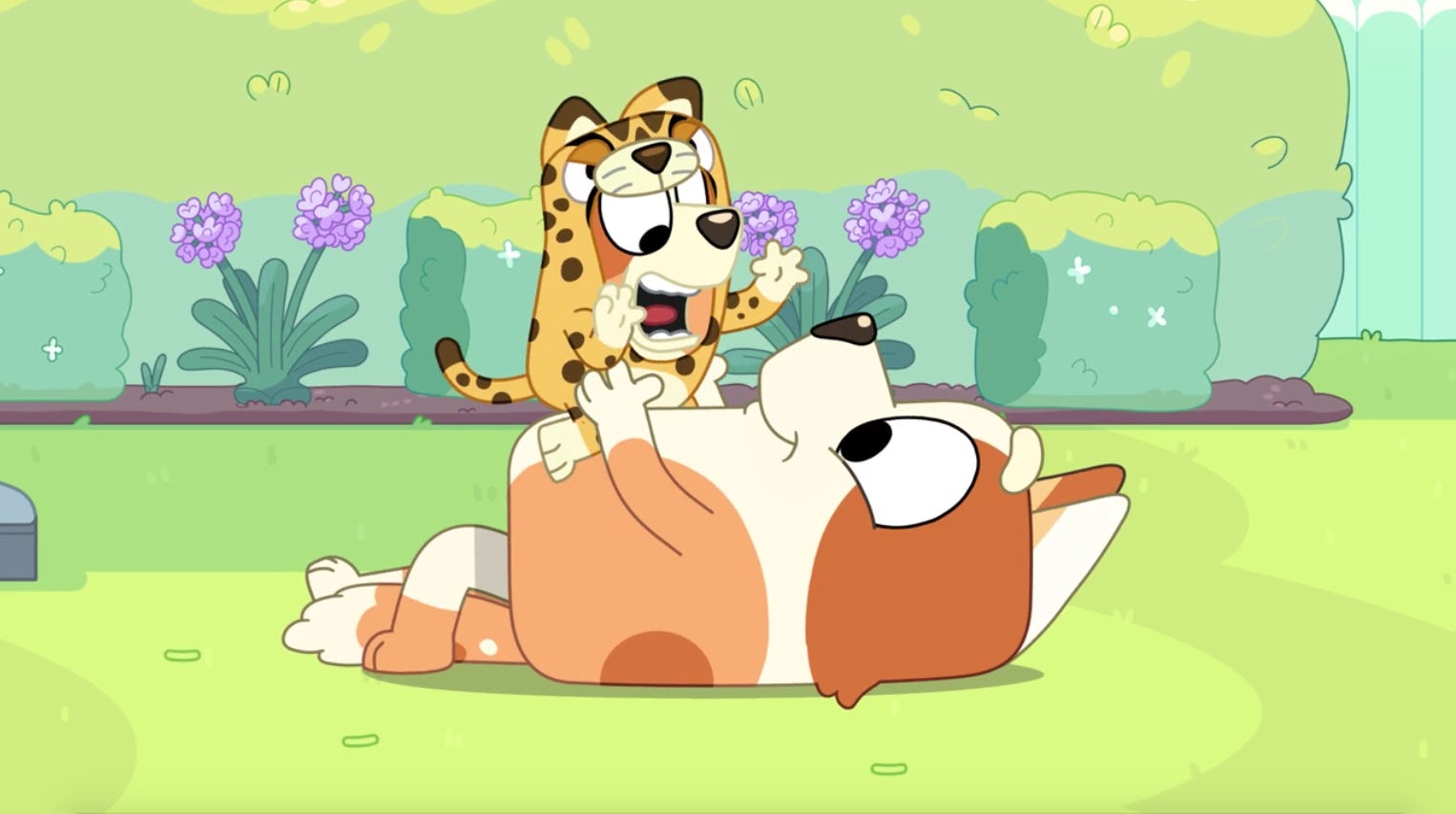 Bluey's Aunt Brandy Is Pregnant In "The Sign" & Fans Have Big Feelings